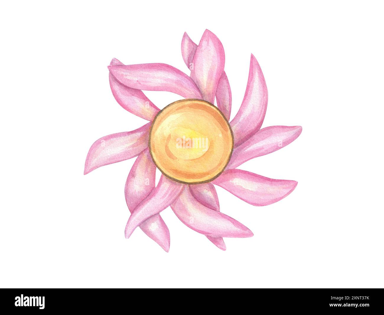 Diya candle in shape of lotus flower. Water lily. Pink petals with ...
