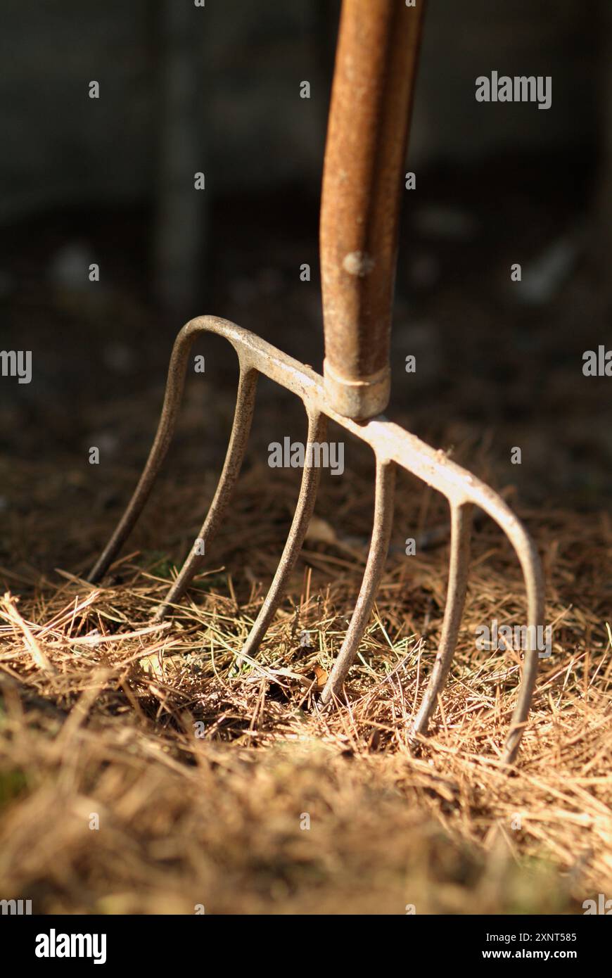 Gallows stuck in the ground Stock Photo - Alamy