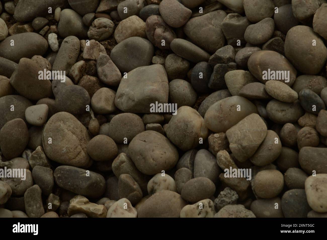 Stone terrain hi-res stock photography and images - Alamy