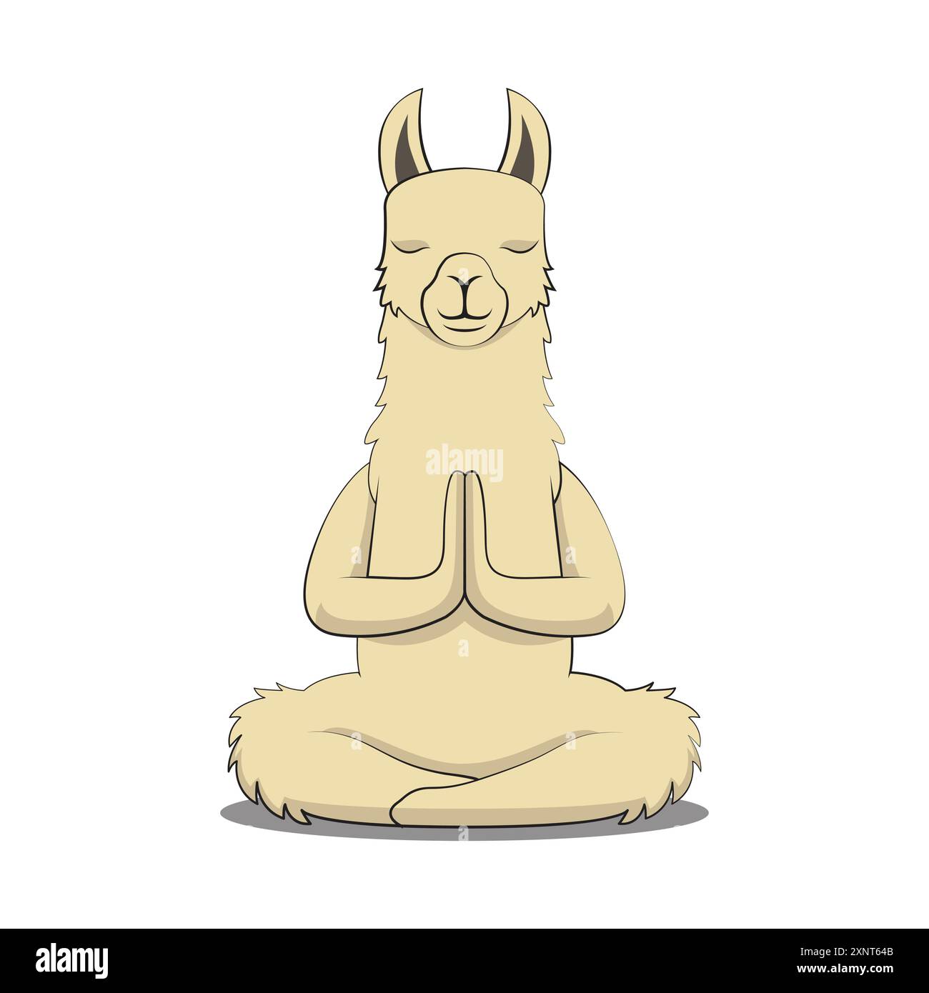 Cute llama animal in peaceful namaste posture. Funny vector ...