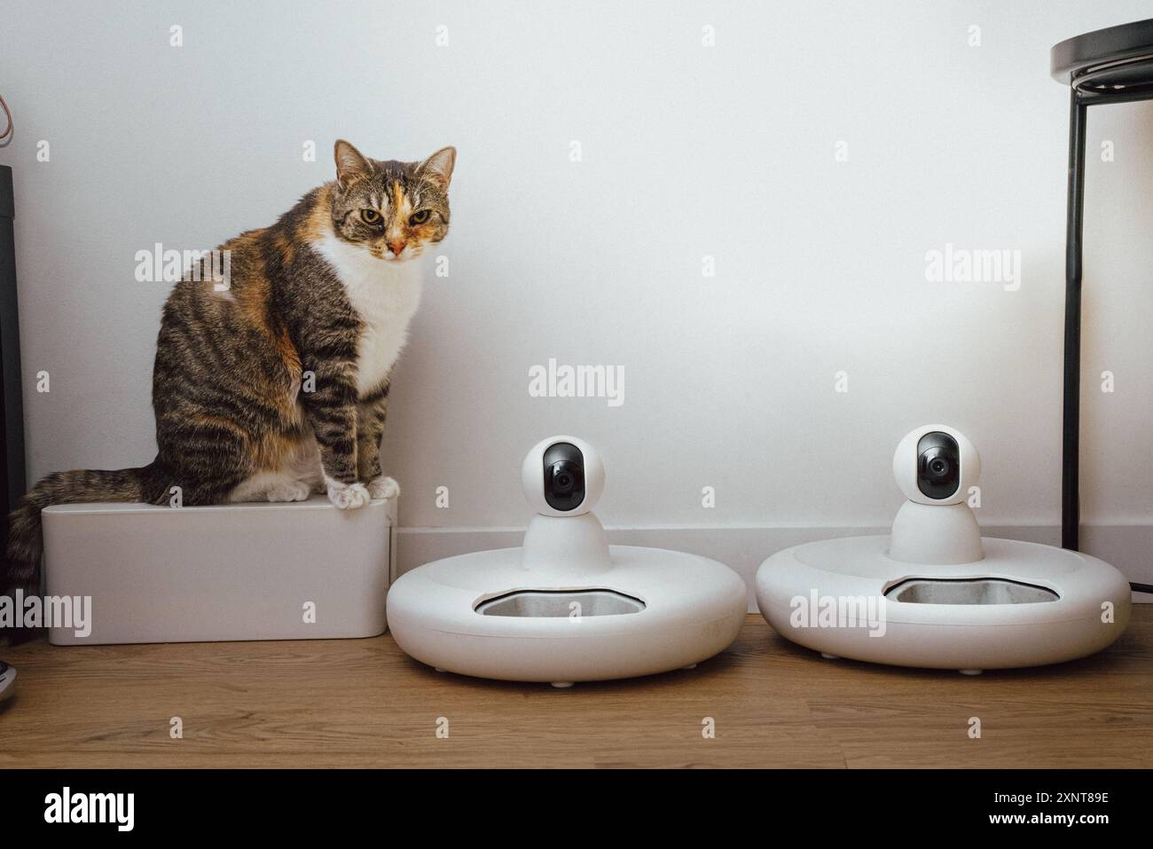 Webcam feed hi-res stock photography and images - Alamy