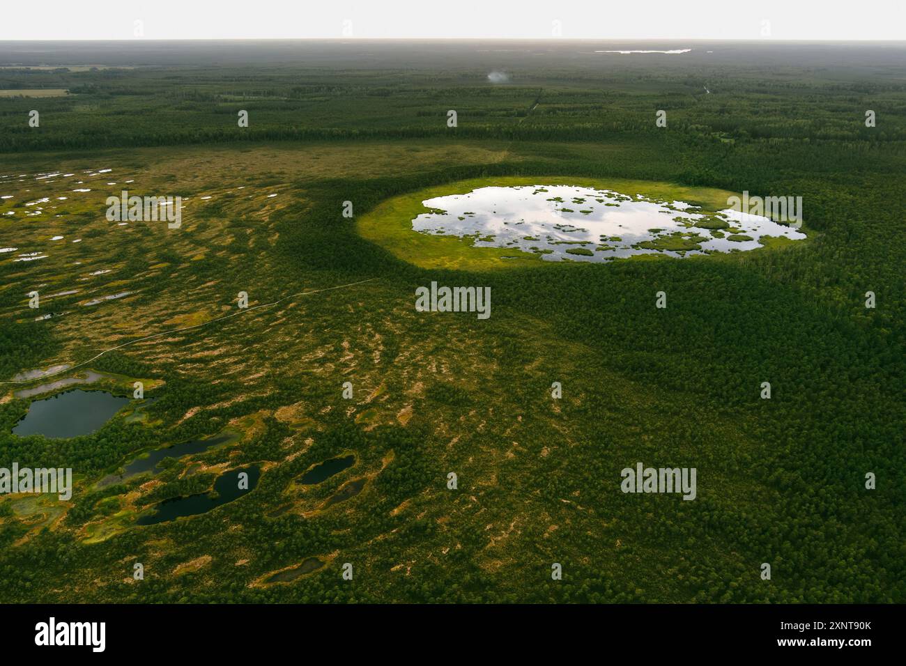 Aerial view of Seli Bog, dotted with pine trees, hollows and pools ...