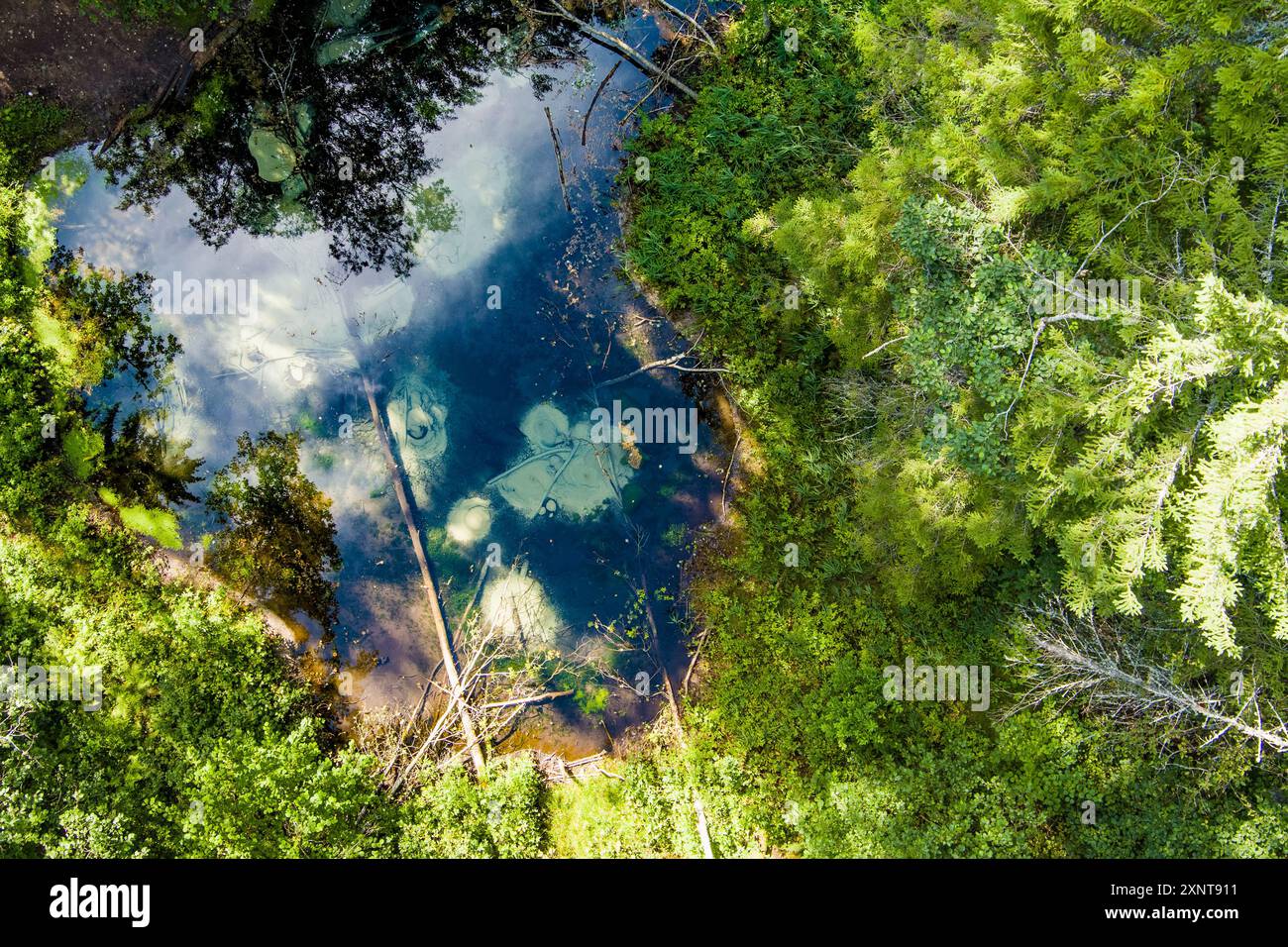 Saula Blue Springs or Saula Siniallikad, natural and cultural heritage ...