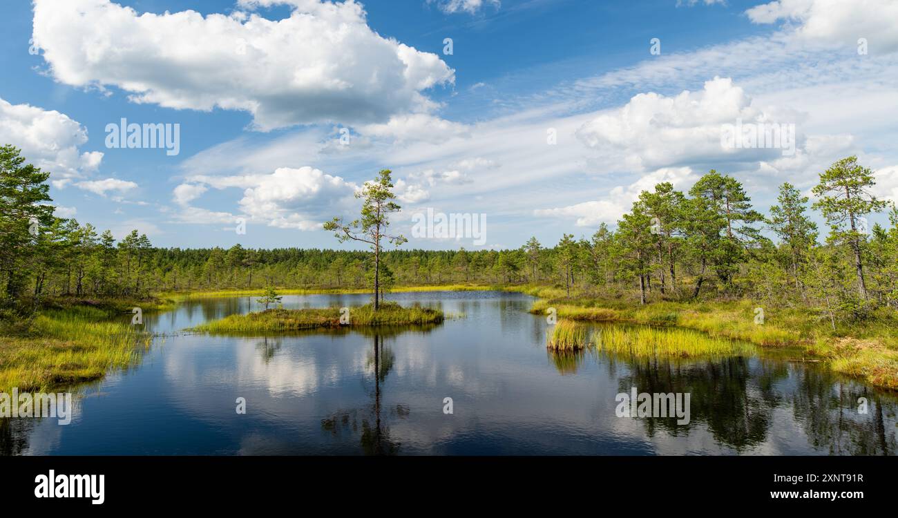 Viru Bog, one of the most famous bogs located in Lahemaa National Park ...