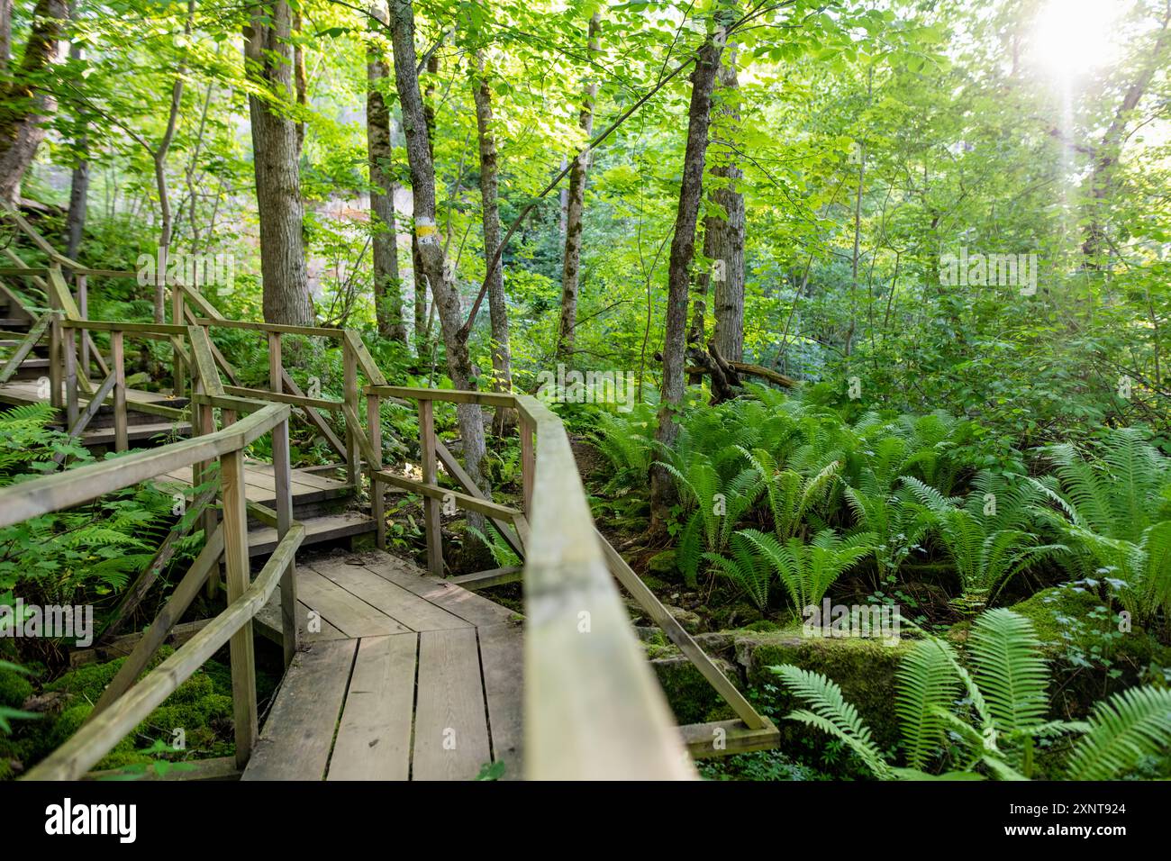 Wooden staircase leading to pebble beach near Valaste waterfall on the ...