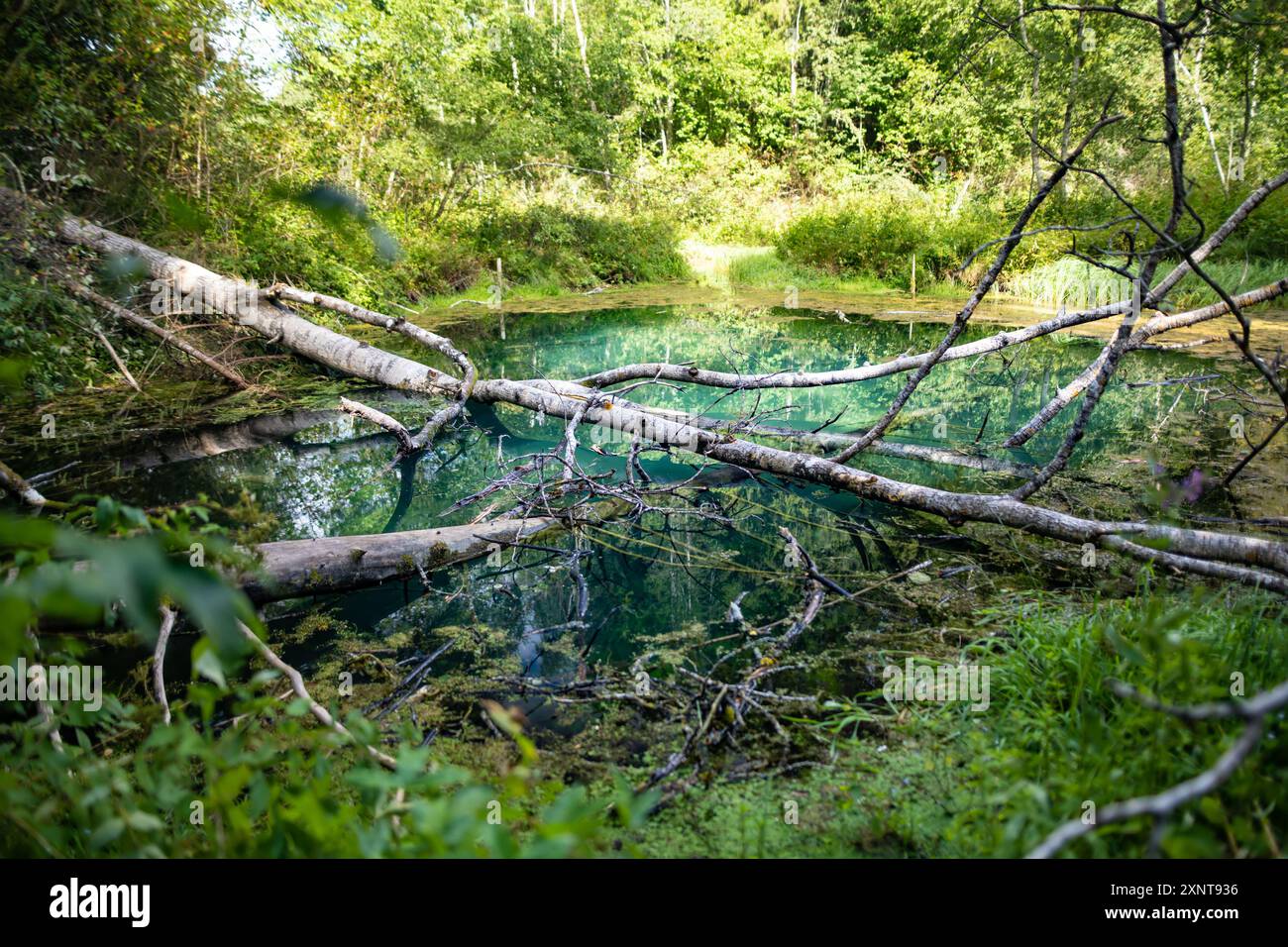 Saula Blue Springs or Saula Siniallikad, natural and cultural heritage ...