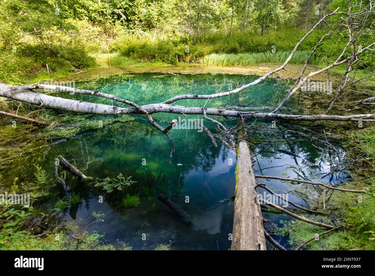 Saula Blue Springs or Saula Siniallikad, natural and cultural heritage ...