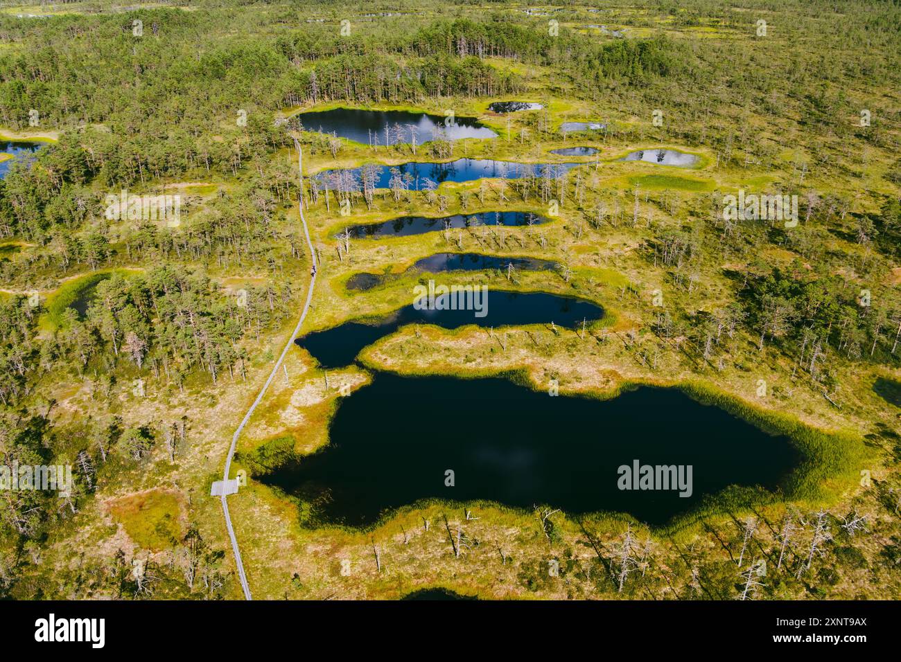 Viru Bog, one of the most famous bogs located in Lahemaa National Park ...