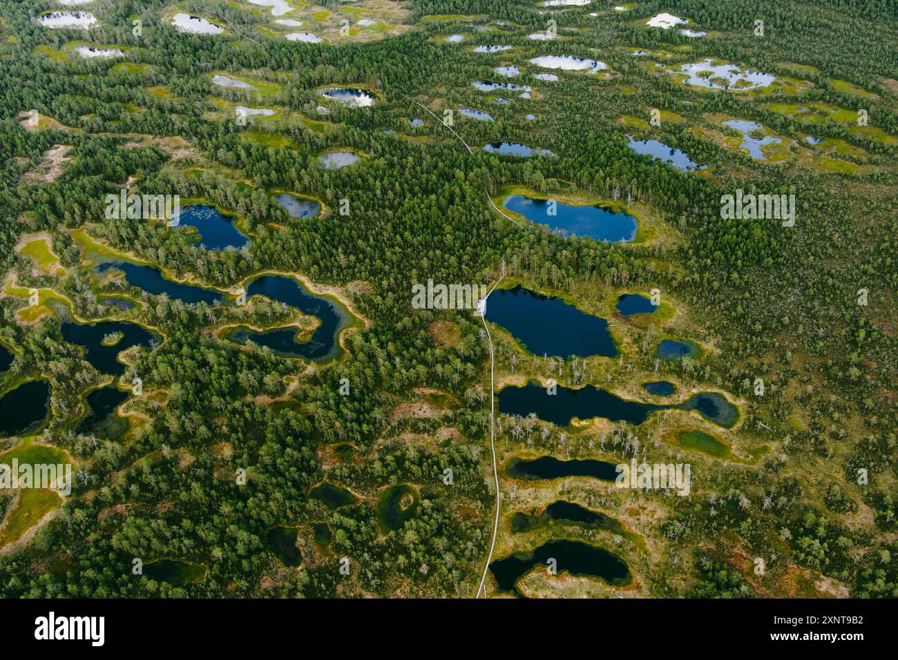 Viru Bog, one of the most famous bogs located in Lahemaa National Park ...