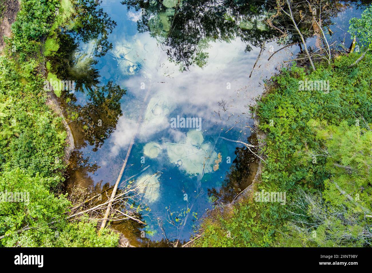 Saula Blue Springs or Saula Siniallikad, natural and cultural heritage ...