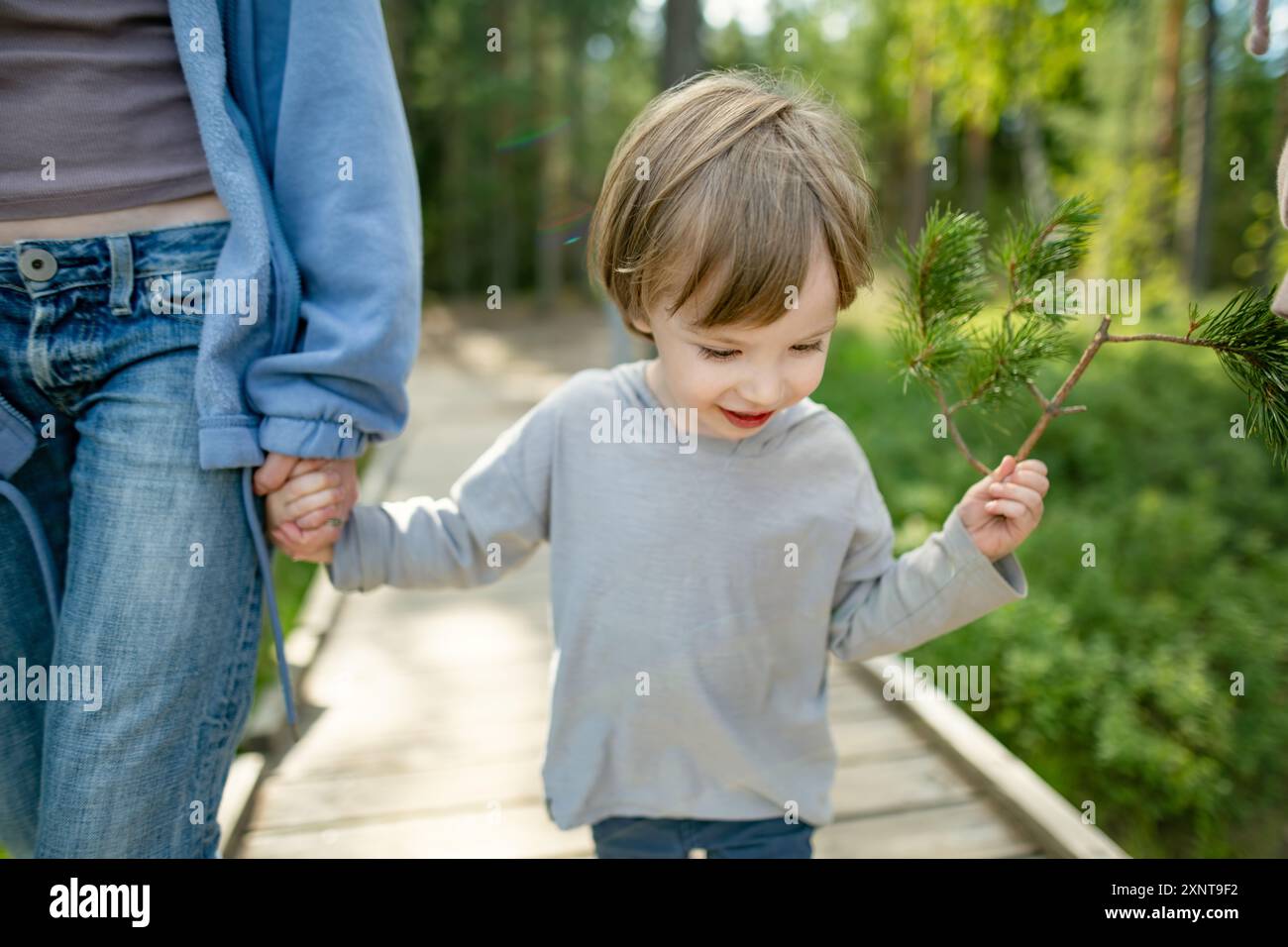 Children exploring in Viru Bog, one of the most famous bogs located in ...