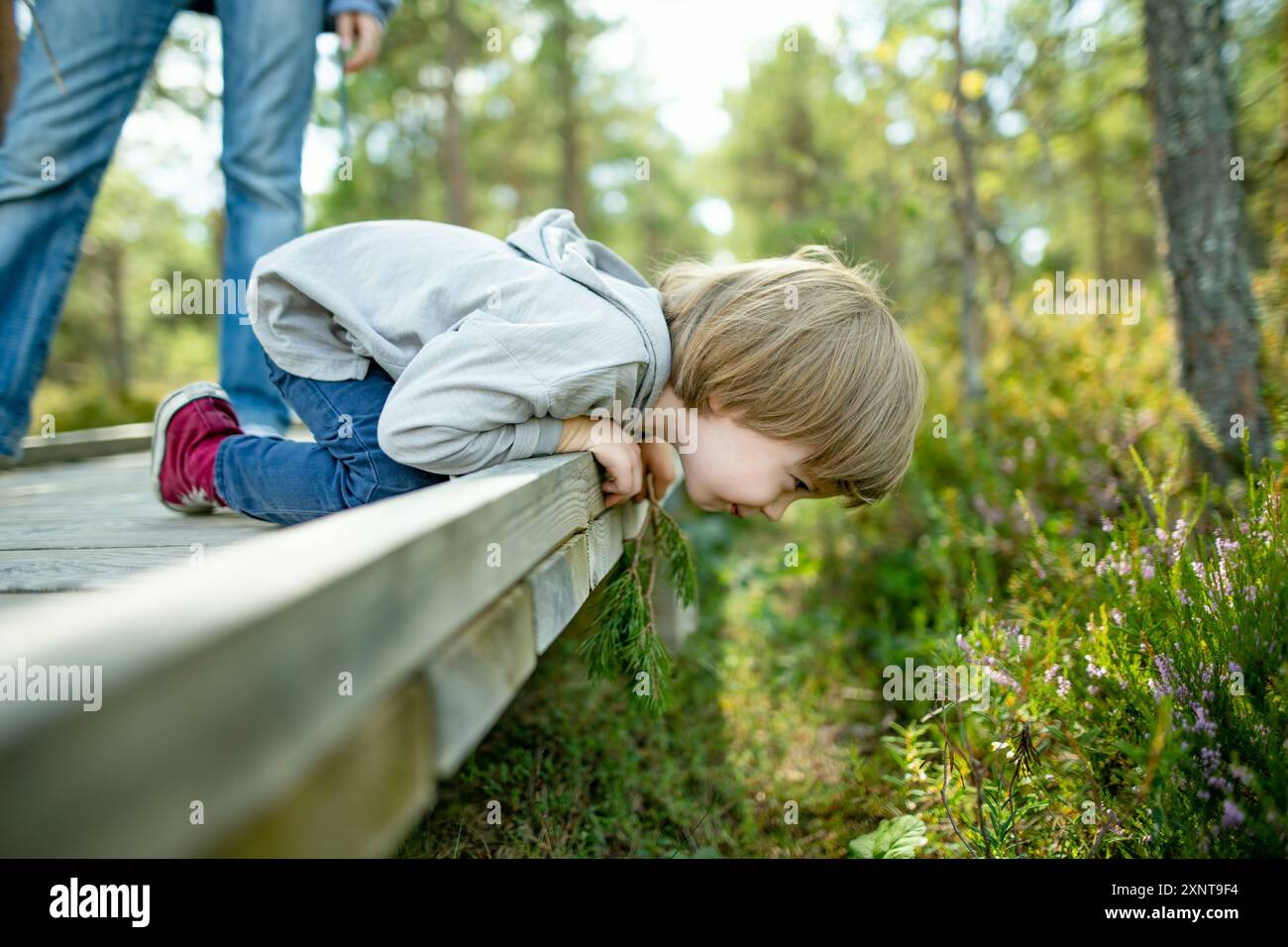 Child exploring in Viru Bog, one of the most famous bogs located in ...