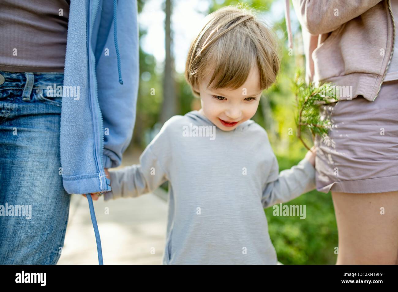 Children exploring in Viru Bog, one of the most famous bogs located in ...