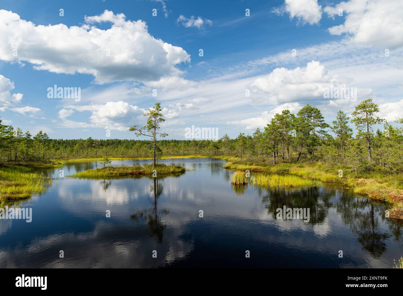 Viru Bog, one of the most famous bogs located in Lahemaa National Park ...
