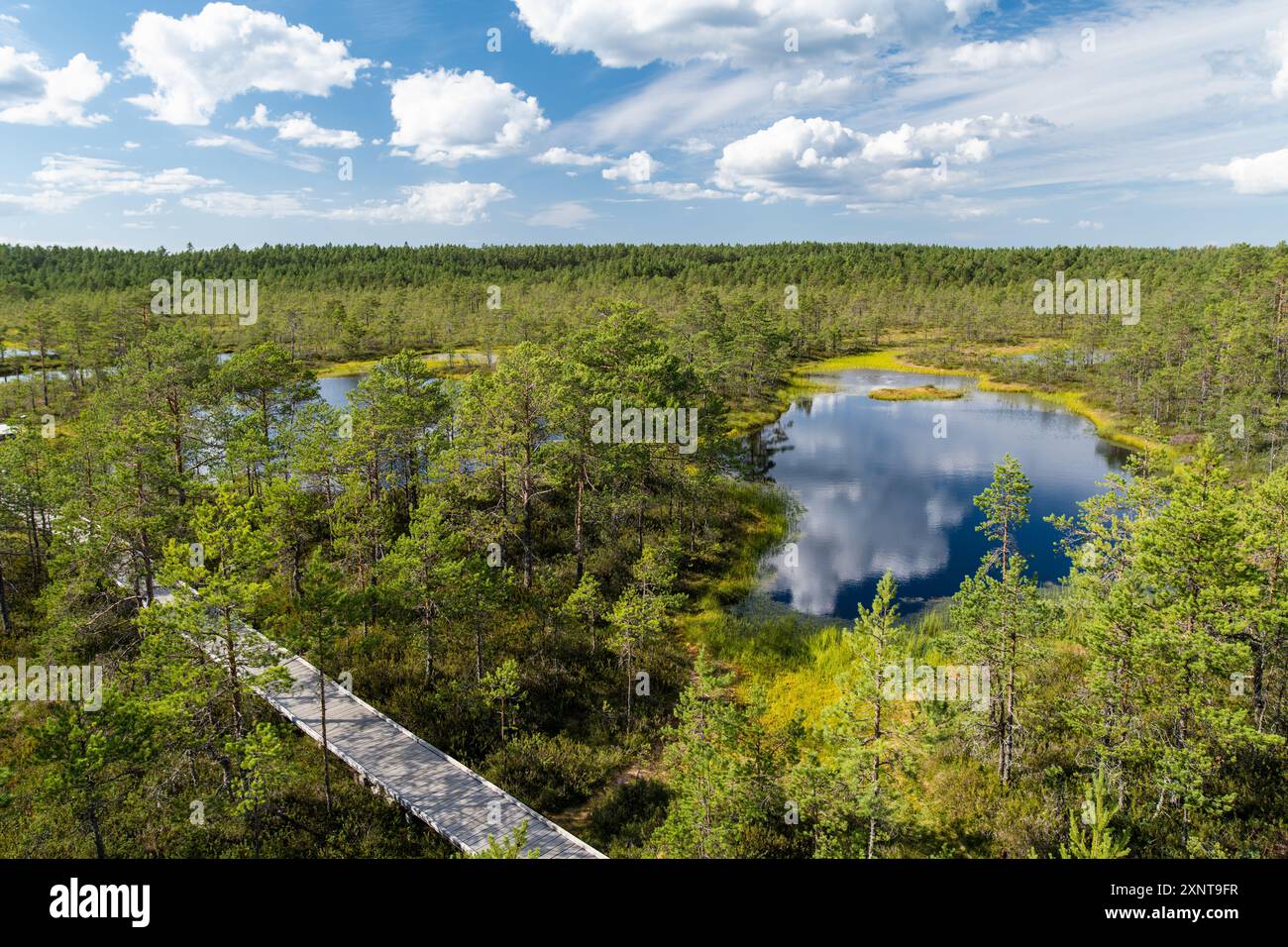 Viru Bog, one of the most famous bogs located in Lahemaa National Park ...