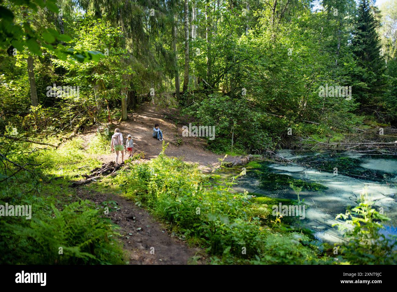 Saula Blue Springs or Saula Siniallikad, natural and cultural heritage ...
