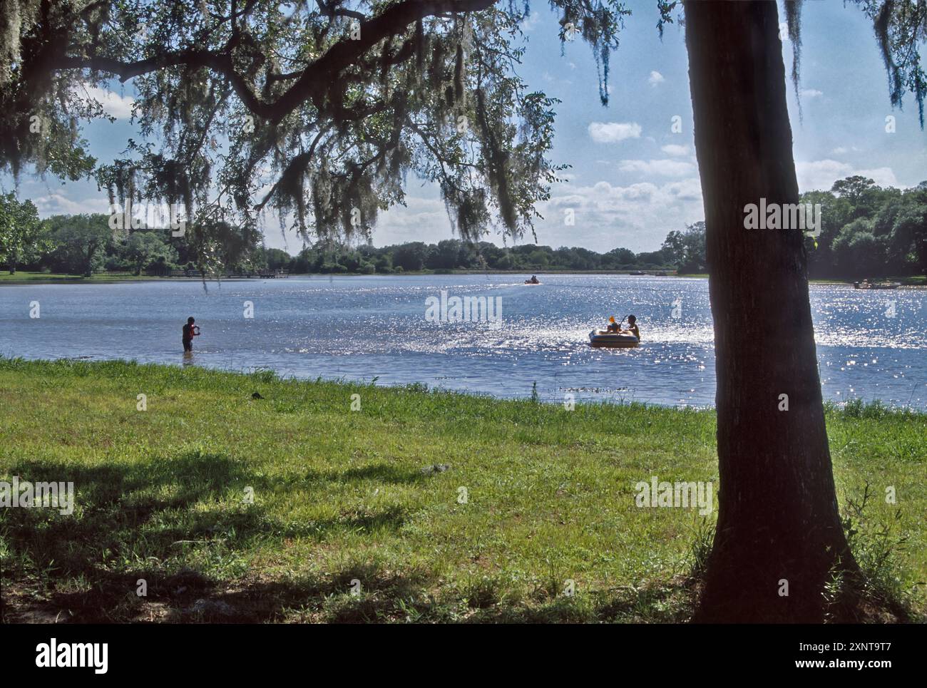 Visitors, Spanish moss on live oak branches, near camping area, evening, Texana Park and ...
