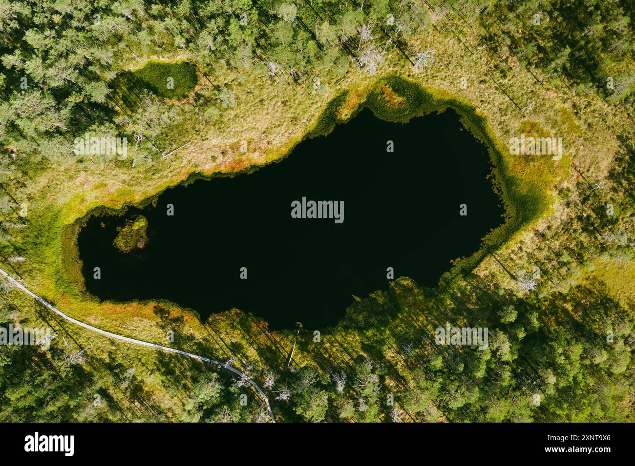 Viru Bog, one of the most famous bogs located in Lahemaa National Park ...