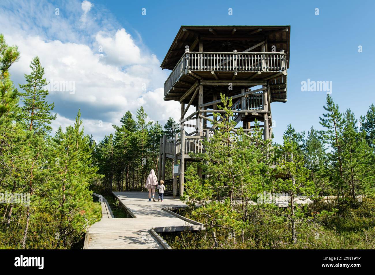 Viewing platform in Viru Bog, one of the most famous bogs located in ...