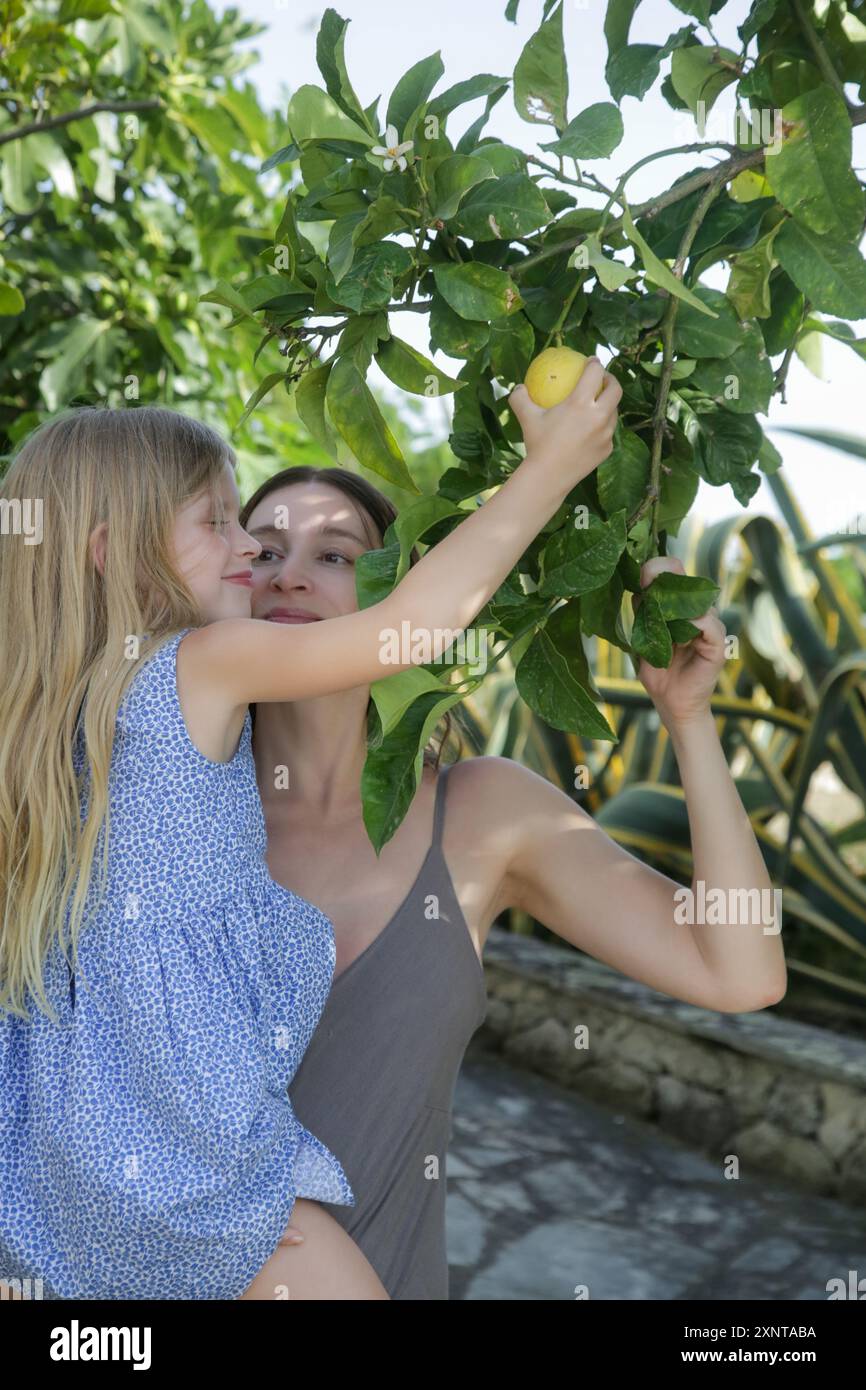 Mother with a child in her arms picking lemons of a lemon trees Stock Photo - Alamy