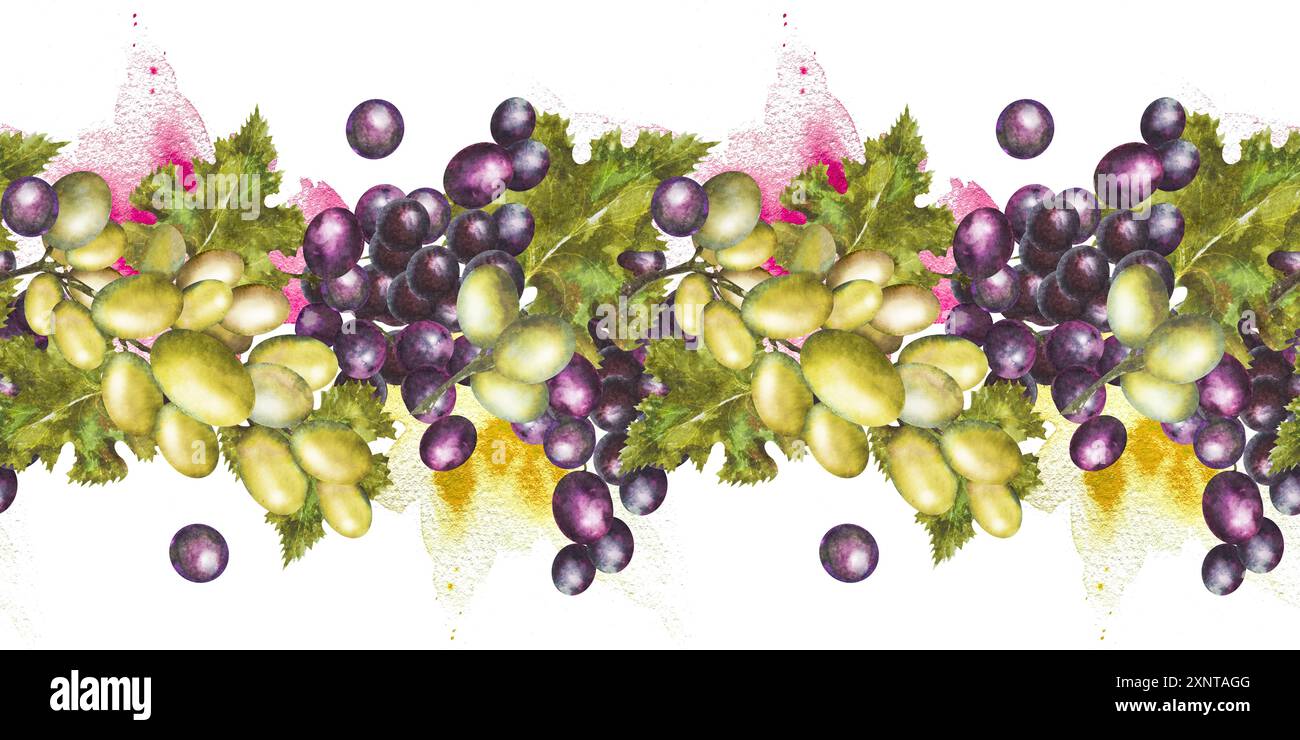 Seamless border of branches, bunches of grape vine. Watercolor ...
