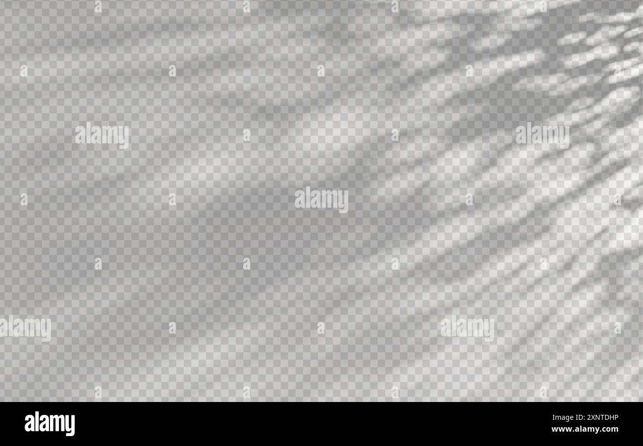 Abstract shadow overlay from foliage on a transparent background. Soft ...