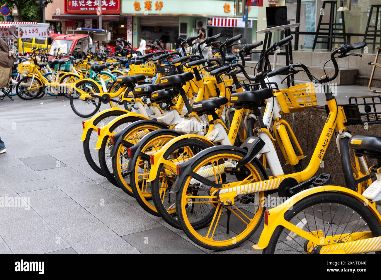Bicycle sharing is way of life in Chengdu. Featured here are bicycles ...