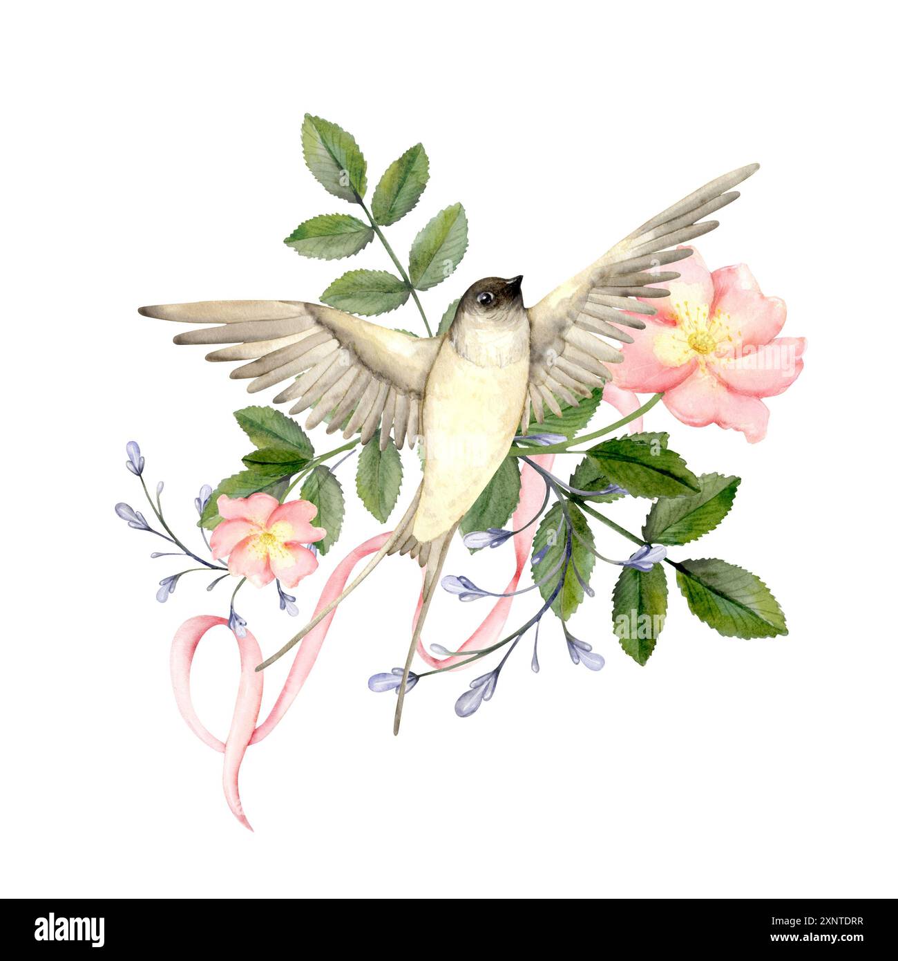 Swallow bird and flowers hi-res stock photography and images - Alamy