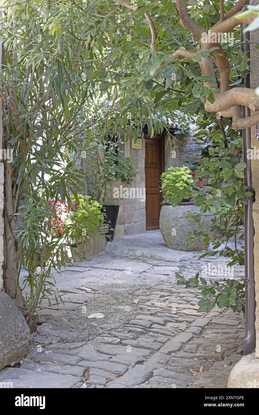 A traditional outdoor courtyard and walkway with narrow pathways ...