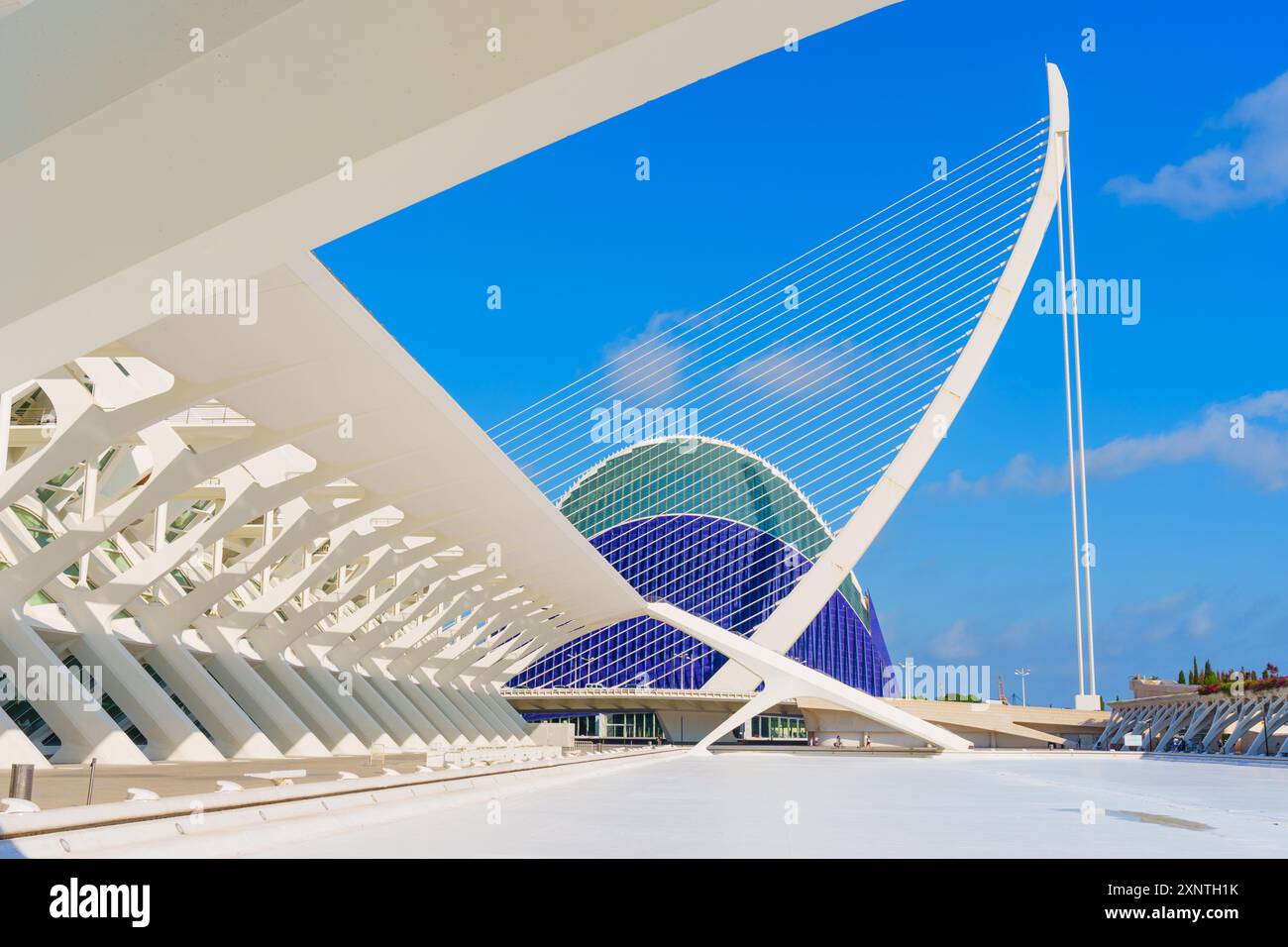Featuring complex symmetry hi-res stock photography and images - Alamy