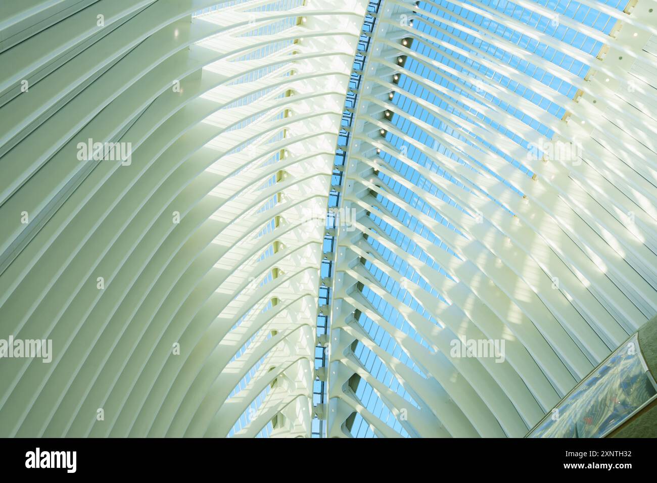 Intricate patterns of white beams creating a stunning ceiling Stock ...