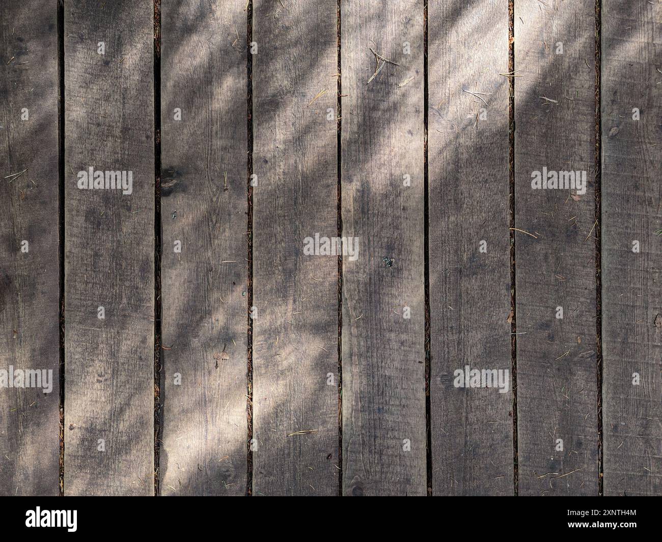 Light brown wooden planks, decking vertical with shadows from forest ...