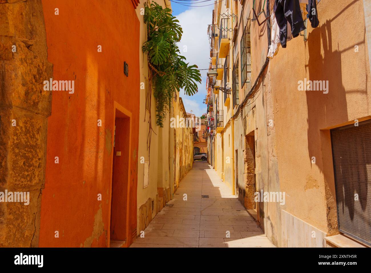 Featuring vibrant colors hi-res stock photography and images - Alamy