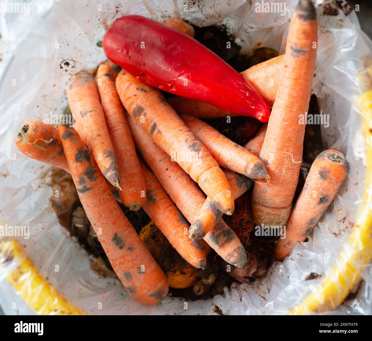 Biological decomposition hi-res stock photography and images - Alamy