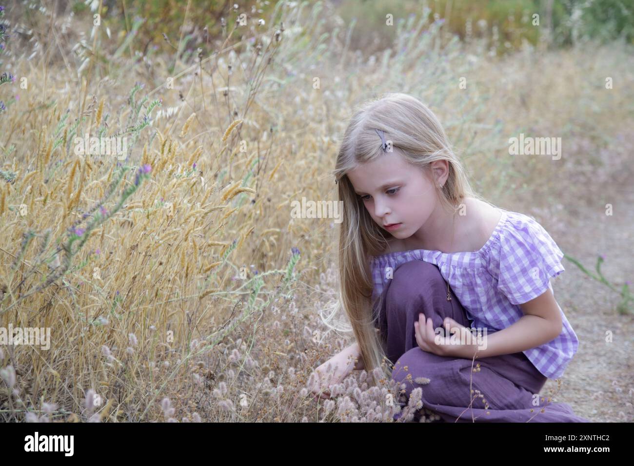 Curious little girl exploring plants on the meadow Stock Photo - Alamy