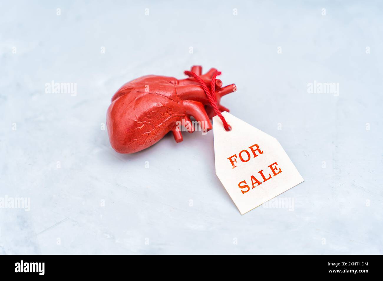 Realistic human heart model displayed on gray surface with 'FOR SALE ...