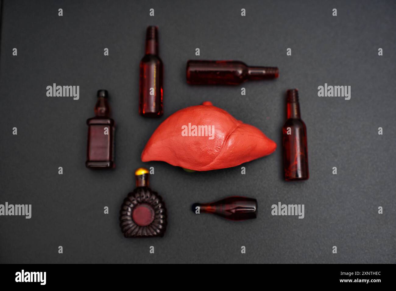 Red clay liver model positioned among various dark-colored alcohol ...