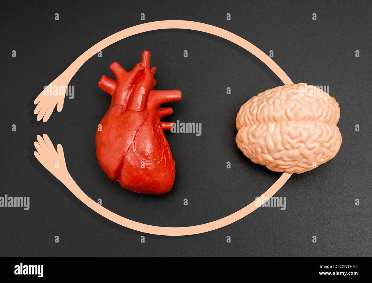 Mind heart connection hi-res stock photography and images - Alamy
