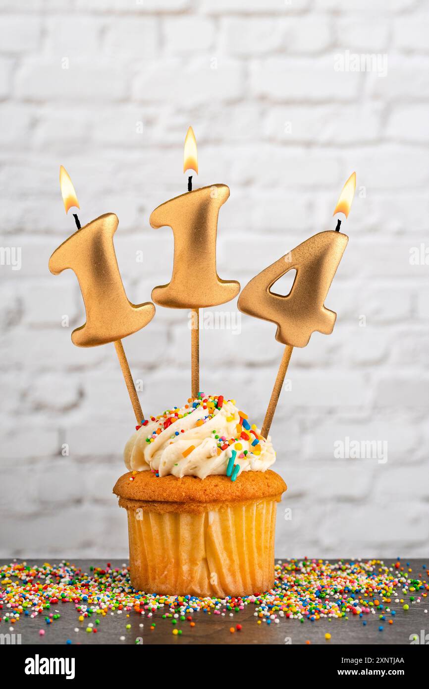 Cupcake with number 114 birthday candle - White block wall background ...