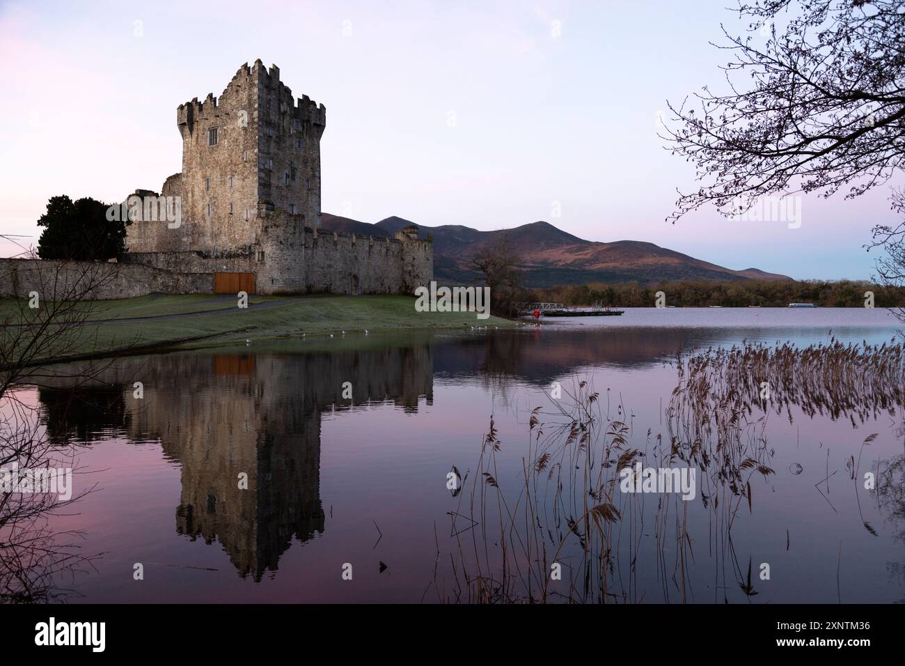 Ross Castle, Killarney, County Kerry, Ireland Stock Photo - Alamy