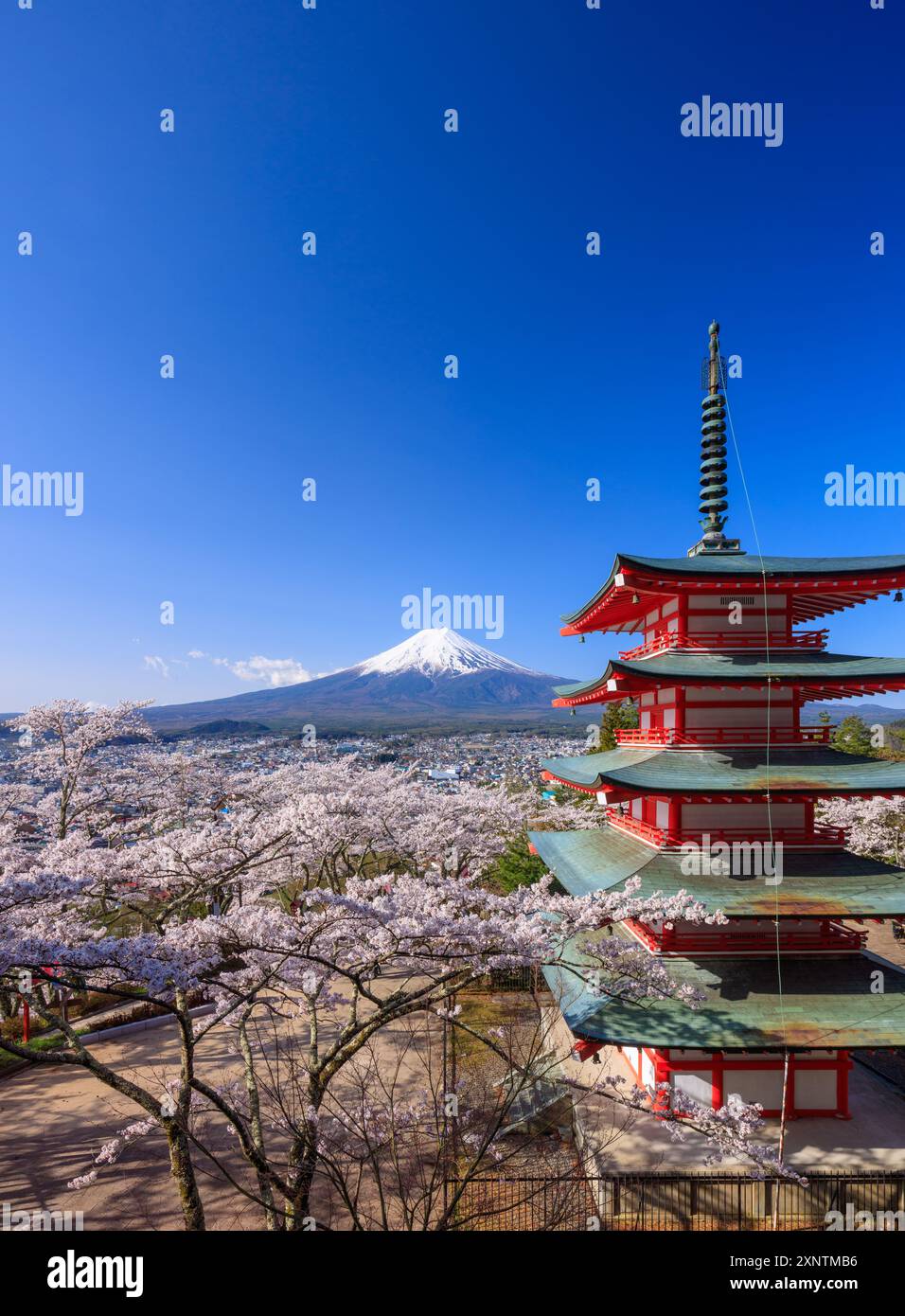 Mt. Fuji with Chureito Pagoda in Spring, Fujiyoshida, Japan Stock Photo ...