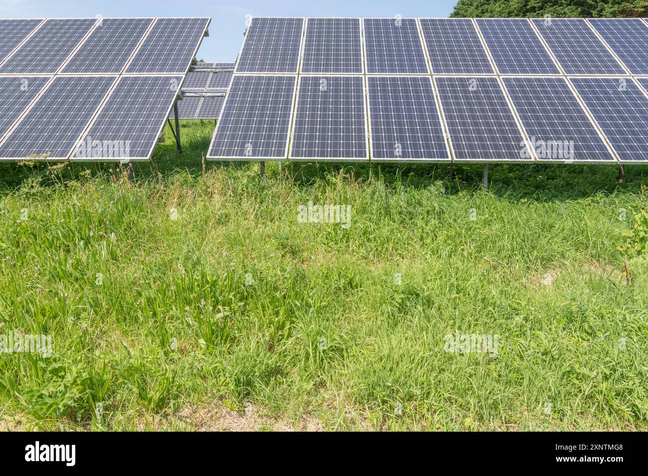 Industrial scale solar panels hi-res stock photography and images - Alamy