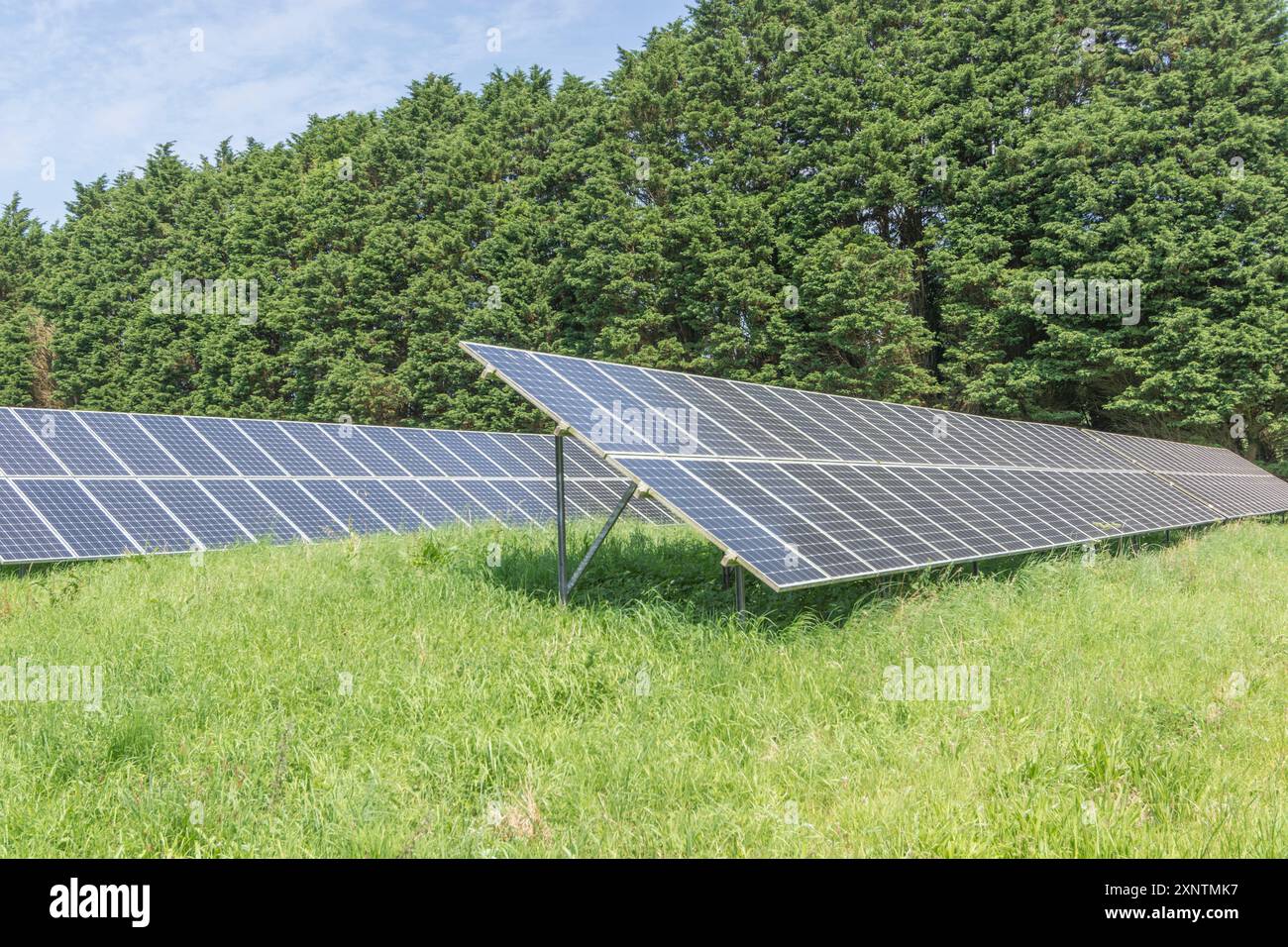 Sections of racked fixed tilt PV / Photo-voltaic solar farm array of ...