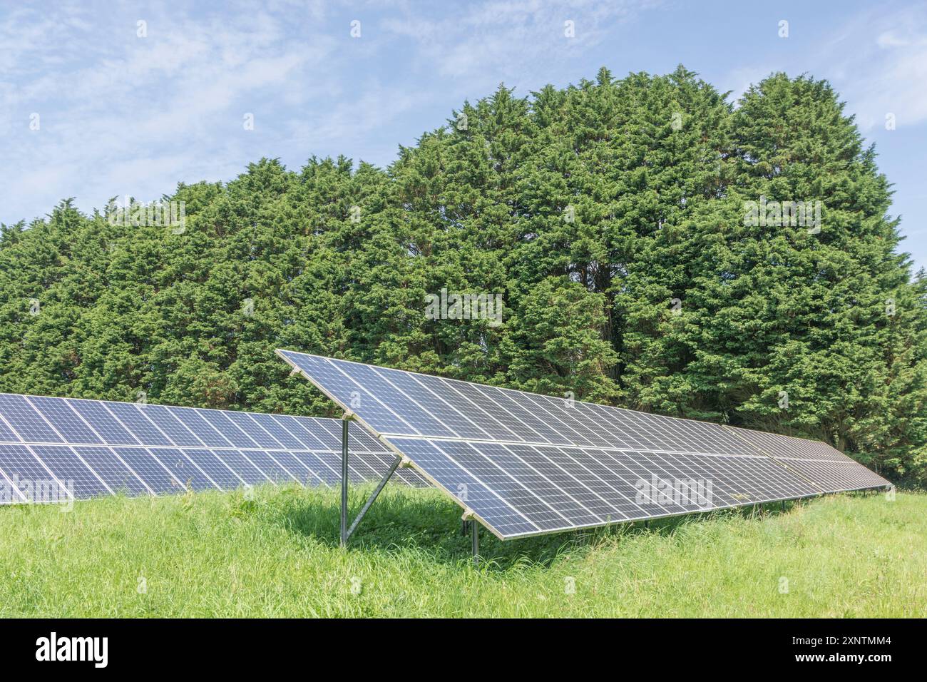 Sections of racked fixed tilt PV / Photo-voltaic solar farm array of ...