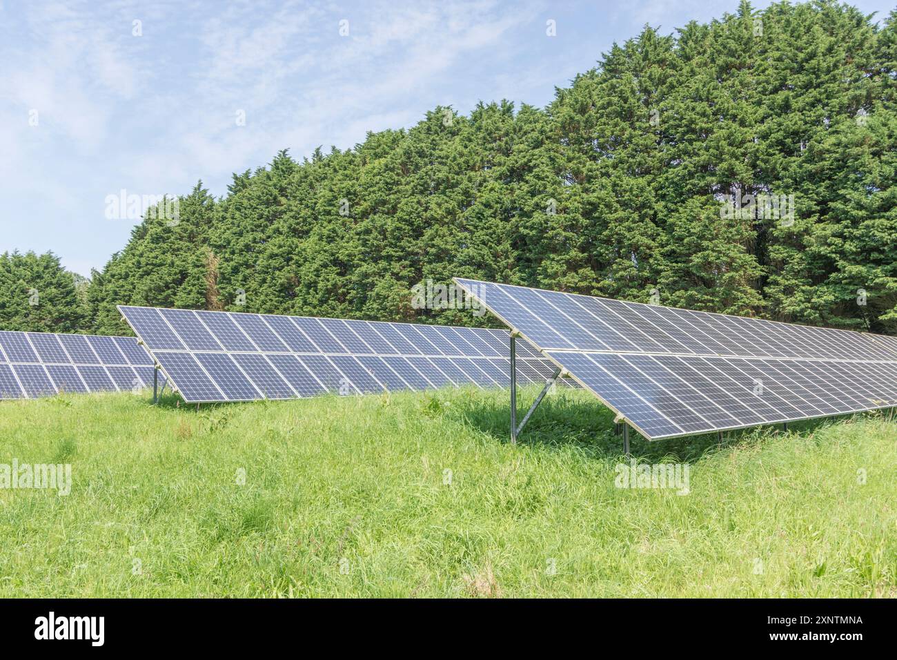 Industrial scale solar panels hi-res stock photography and images - Alamy