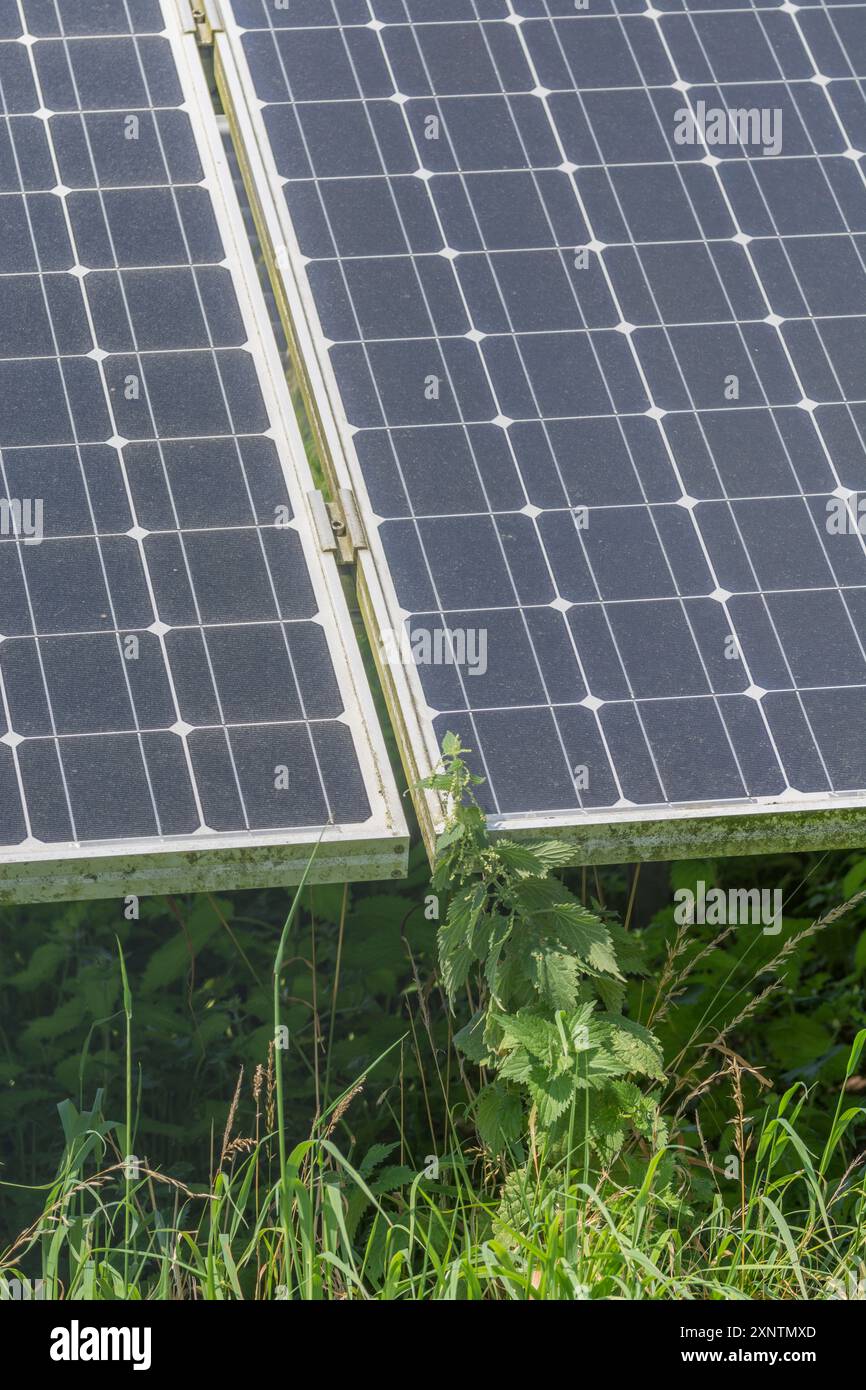 Section of racked fixed tilt PV / Photo-voltaic solar farm array of ...
