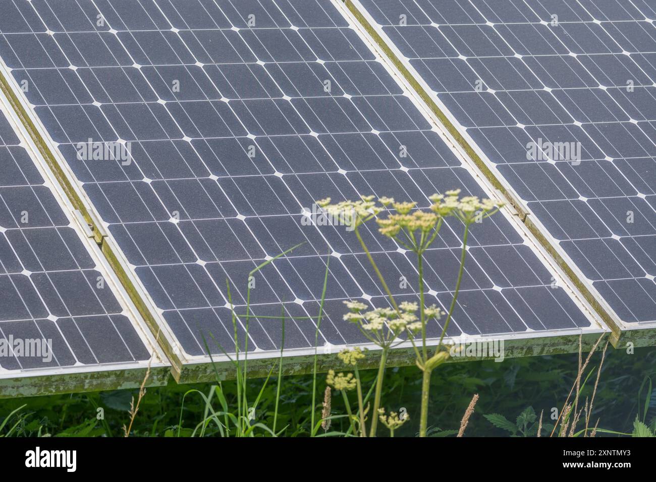 Fixed tilt solar panels hi-res stock photography and images - Alamy