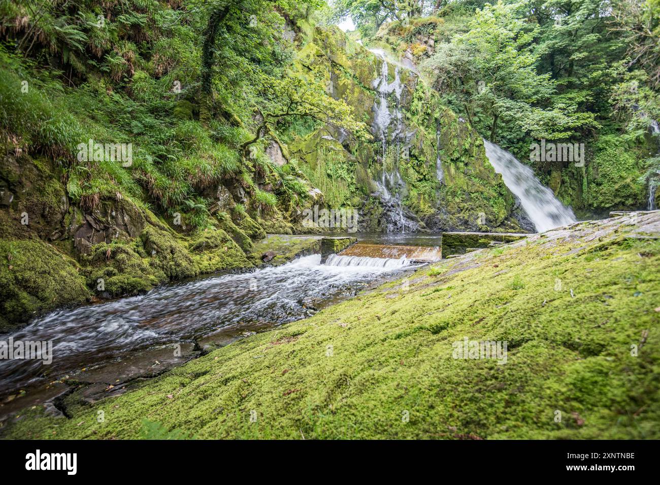 A waterfall that is a short walk fro the Royal Victoria Hotel ...