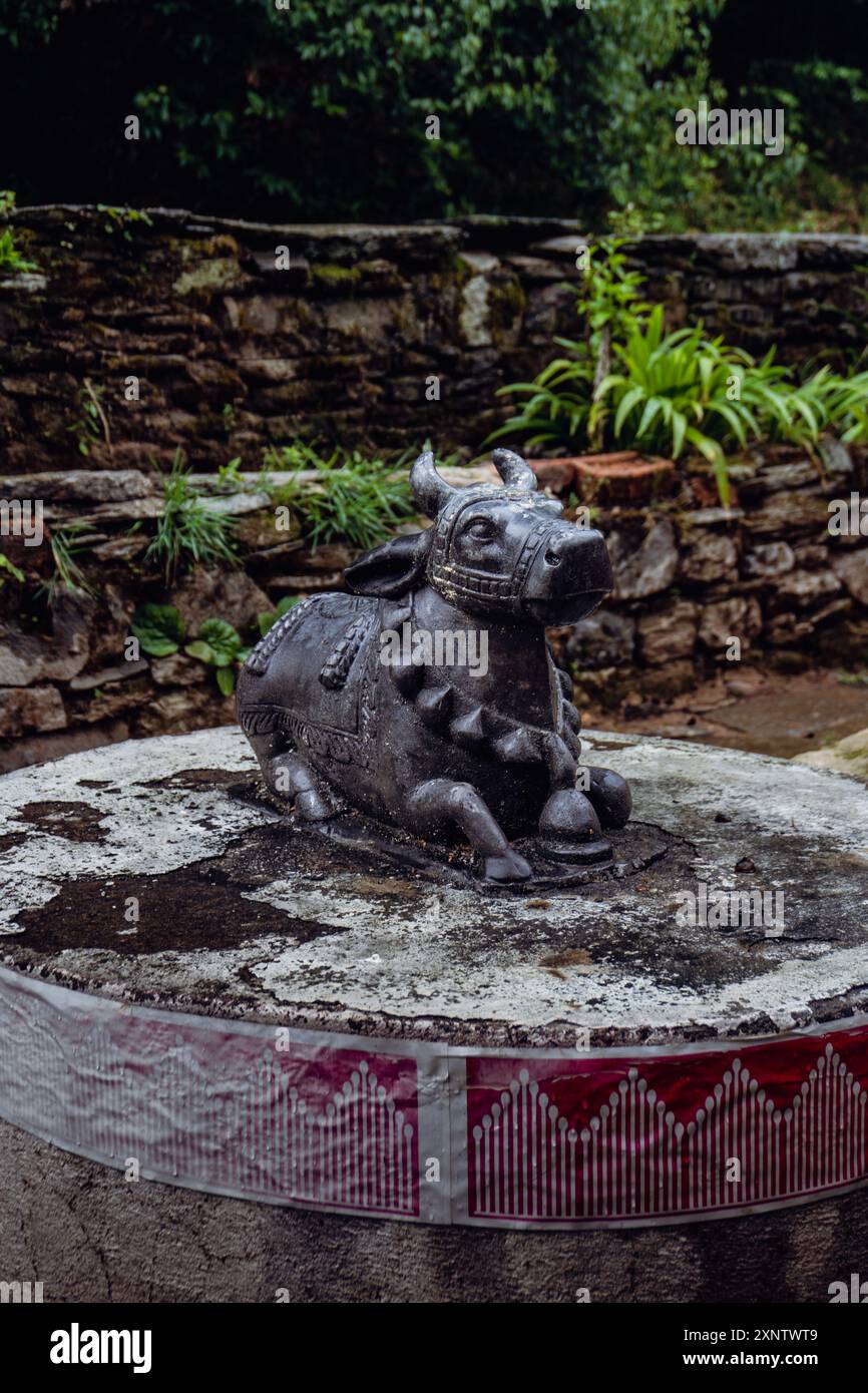 Aug2nd2024, Uttarakhand India. Nandi bull statue on the premises of ...