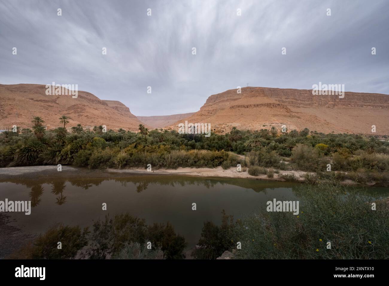 Landscape of an impressive oasis in the Ziz River valley, located in ...